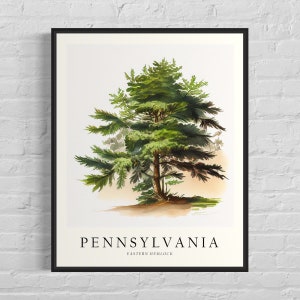 Pennsylvania State Tree Art Print, Eastern Hemlock Tree Wall Art, State ...