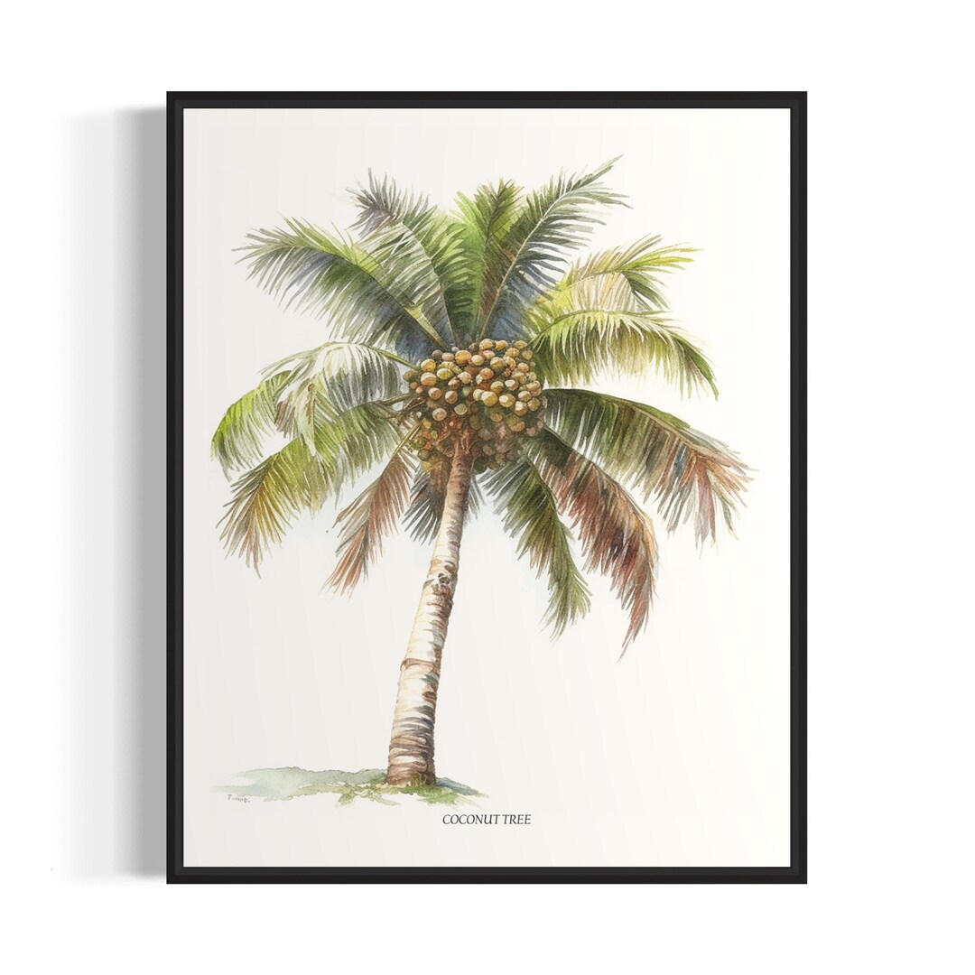 Coconut Tree Art Print, Coconut Tree Wall Art Poster - Etsy