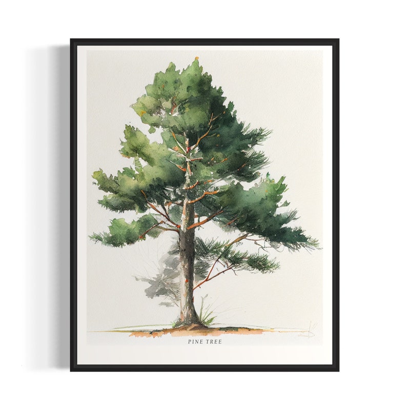 Pine Tree Art - Etsy