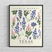 Nebraska State Flower, Nebraska Flower Market Art Print, Goldenrod 1960 ...