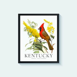 Kentucky State Bird Art Print, Kentucky State Flower, Kentucky Wall Art ...