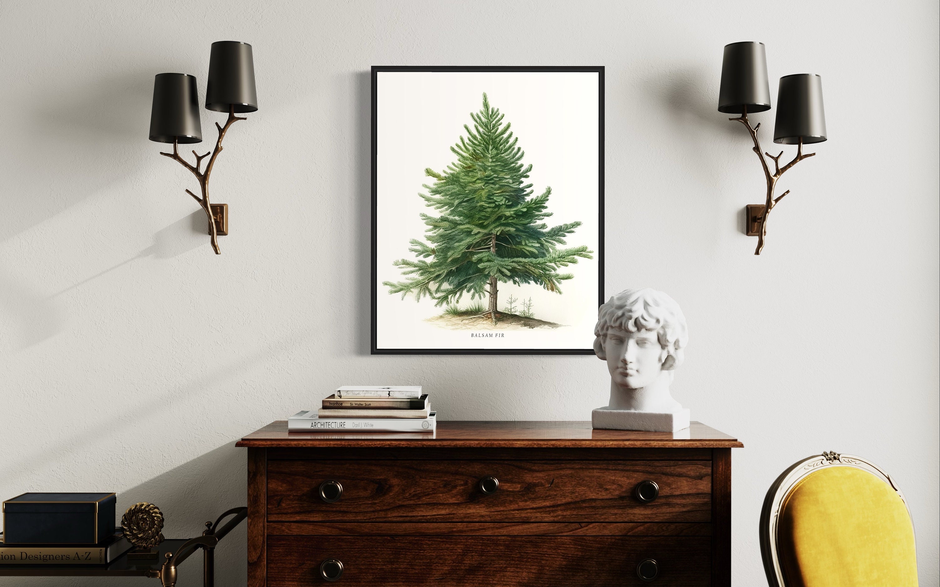 Balsam Fir Tree Art Print, Balsam Fir Tree Wall Art Poster - Etsy