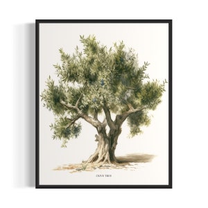 Olive Tree Art Print, Olive Tree Wall Art Poster - Etsy