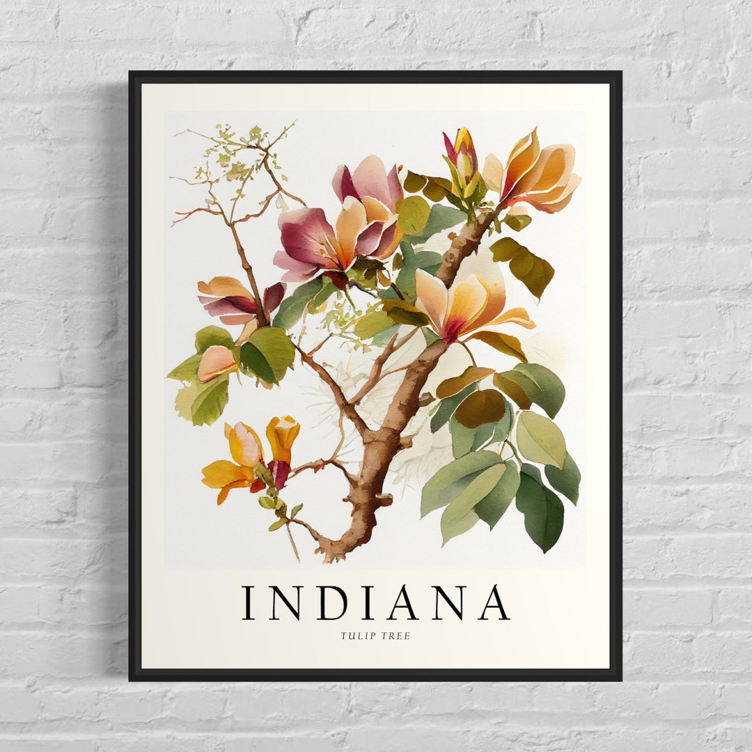 Indiana State Tree Art Print, Tulip Tree Wall Art, State Tree Symbol ...