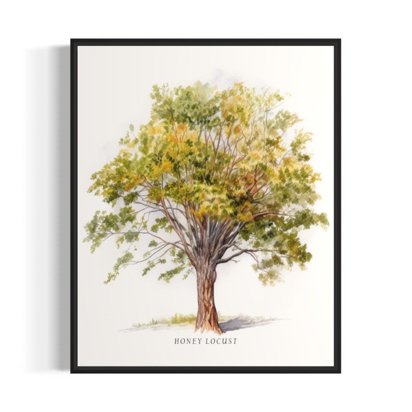 Locust Tree - Etsy