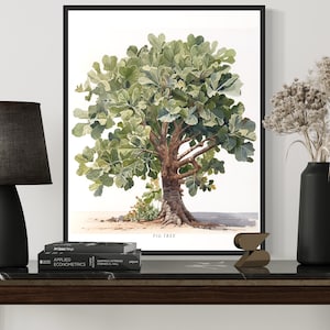 Fig Tree Art Print, Fig Tree Wall Art Poster - Etsy