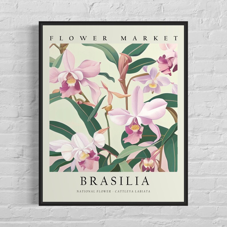 Brasilia Brazil Flower Market Art Print Brasilia Flower - Etsy