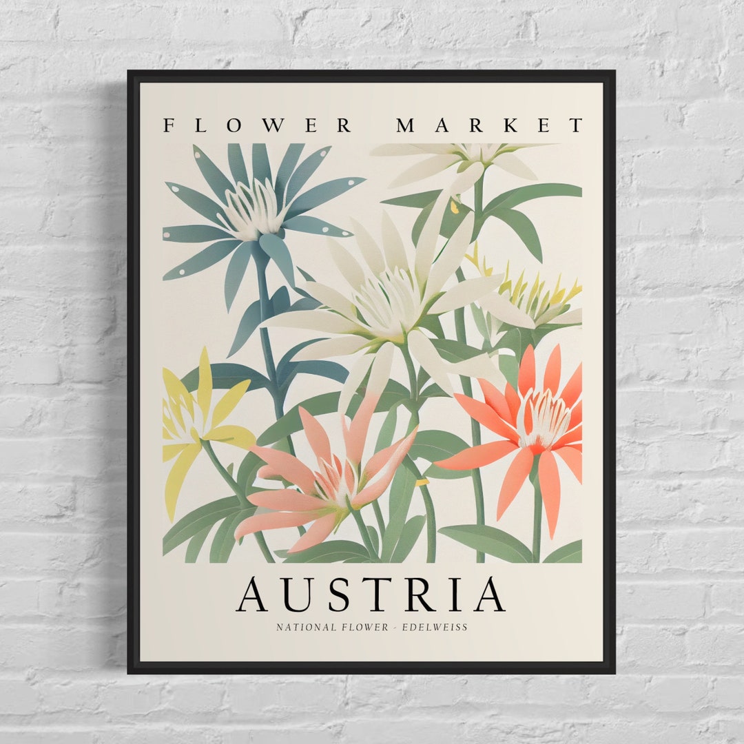 Austria National Flower, Austria Flower Market Art Print, Edelweiss ...
