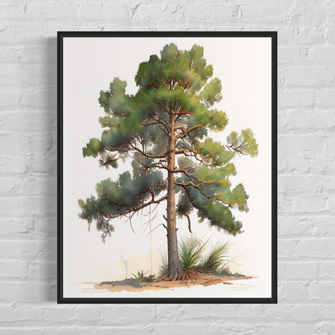 Loblolly Pine Tree Wall Art Poster - Etsy
