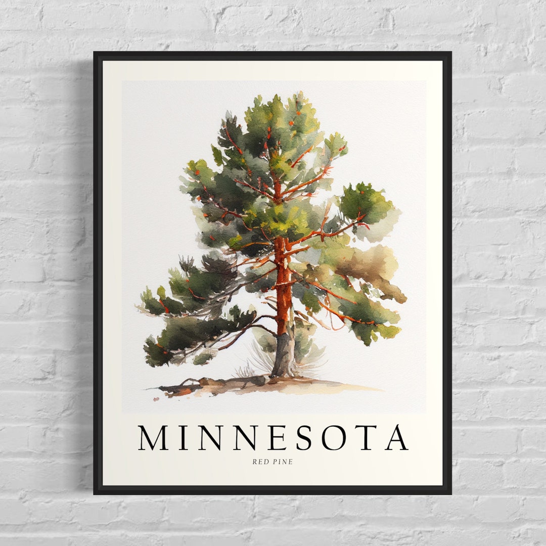 Minnesota State Tree Art Print, Red Pine Tree Wall Art, State Tree ...