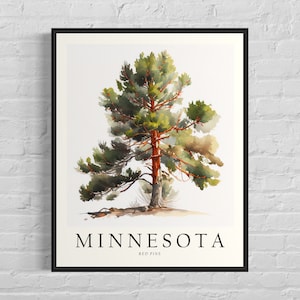 Minnesota State Tree Art Print, Red Pine Tree Wall Art, State Tree ...