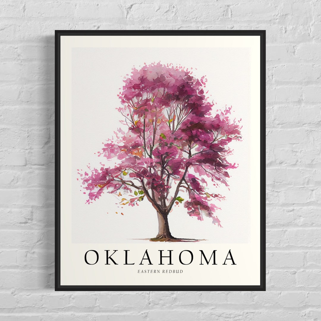 Oklahoma State Tree Art Print, Eastern Redbud Pine Tree Wall Art, State ...