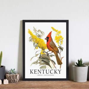 Kentucky State Bird Art Print, Kentucky State Flower, Kentucky Wall Art ...