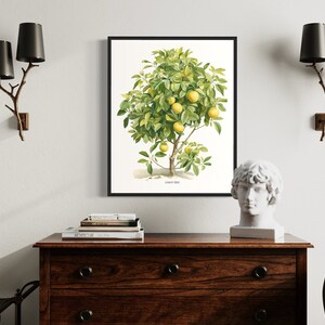 Lemon Tree Art Print, Lemon Tree Wall Art Poster - Etsy