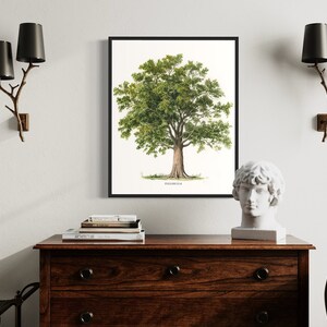 English Elm Tree Art Print, English Elm Tree Wall Art Poster - Etsy