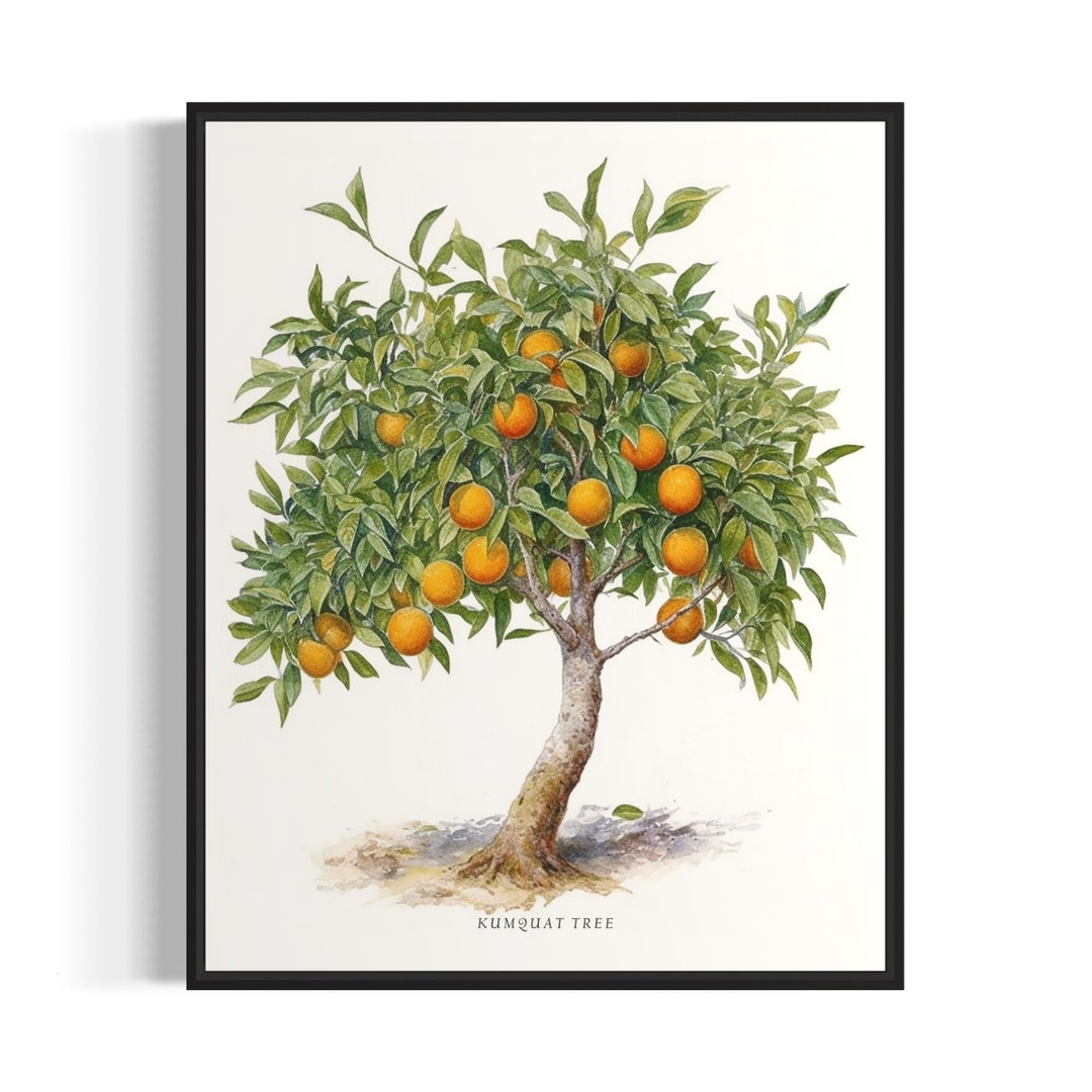 Kumquat Tree Art Print, Kumquat Tree Wall Art Poster - Etsy