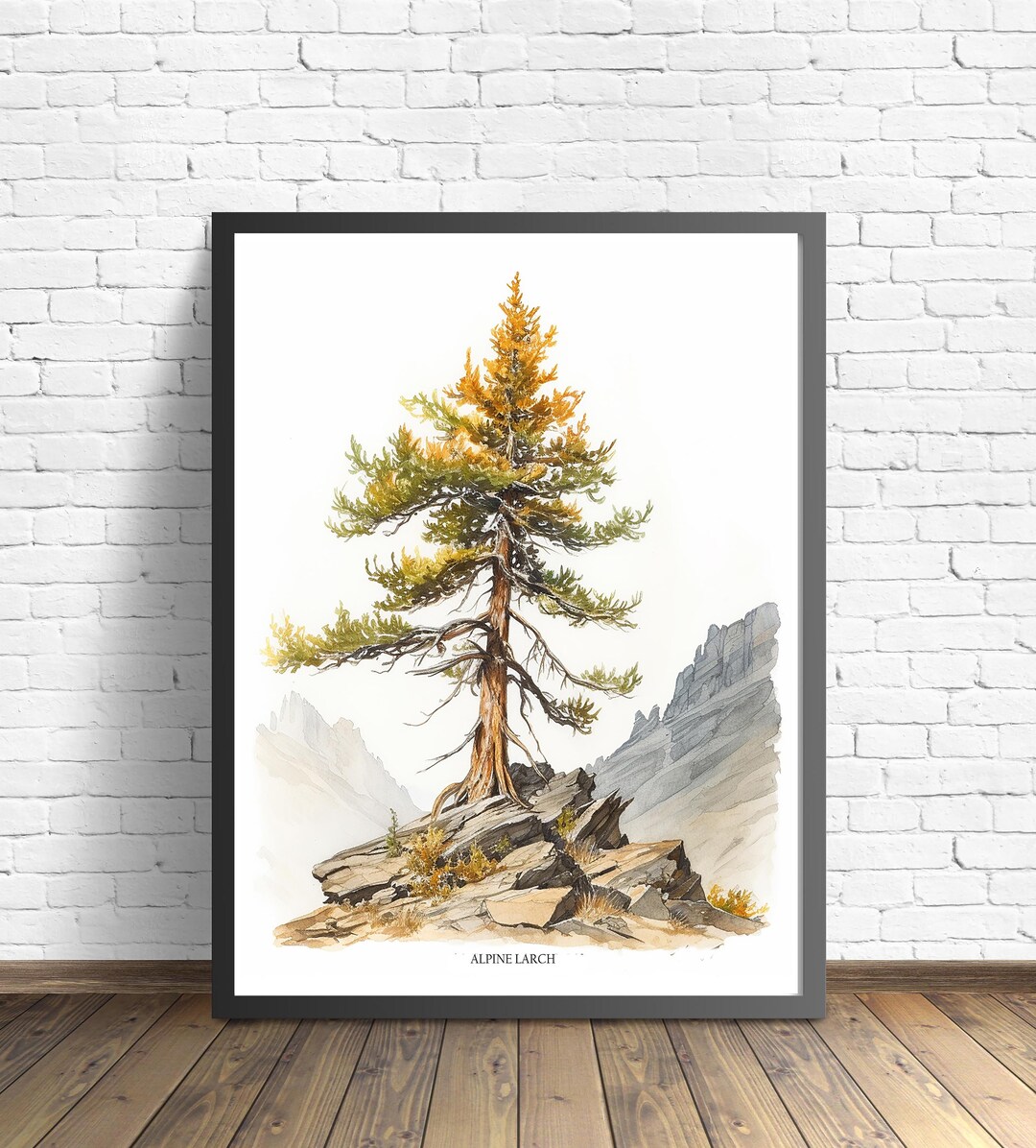 Alpine Larch Tree Art Print, Alpine Larch Tree Wall Art Poster - Etsy