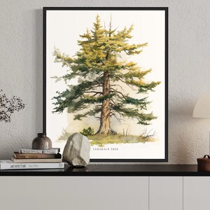 Tamarack Tree Art Print, Tamarack Tree Wall Art Poster - Etsy