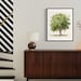 Walnut Tree Art Print, Walnut Tree Wall Art Poster - Etsy