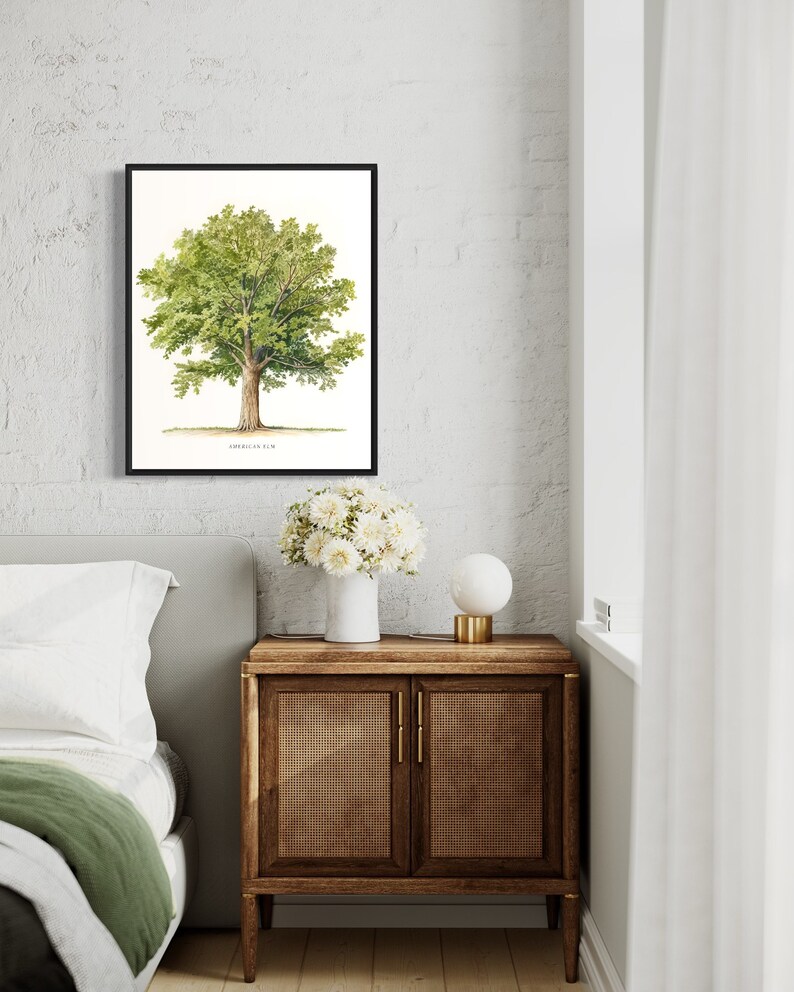 American Elm Tree Art Print American Elm Tree Wall Art Poster - Etsy