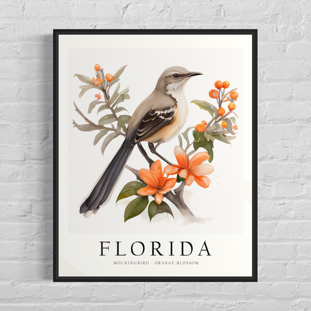 Florida State Bird Art Print, Florida State Flower, Florida Wall Art ...