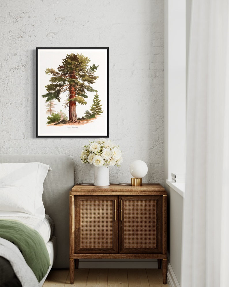 Coast Redwood Tree Art Print, Coast Redwood Tree Wall Art Poster - Etsy