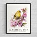 Delaware State Bird Art Print, Delaware State Flower, Delaware Wall Art ...