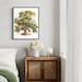 Oak Tree Art Print, Oak Tree Wall Art Poster - Etsy