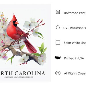 North Carolina State Bird Art Print, North Carolina State Flower, North ...
