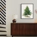 Balsam Fir Tree Art Print, Balsam Fir Tree Wall Art Poster - Etsy