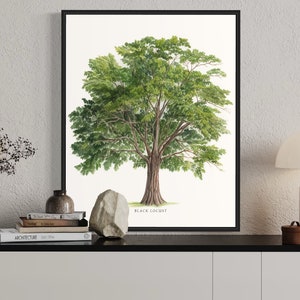 Black Locust Tree Art Print, Black Locust Tree Wall Art Poster - Etsy