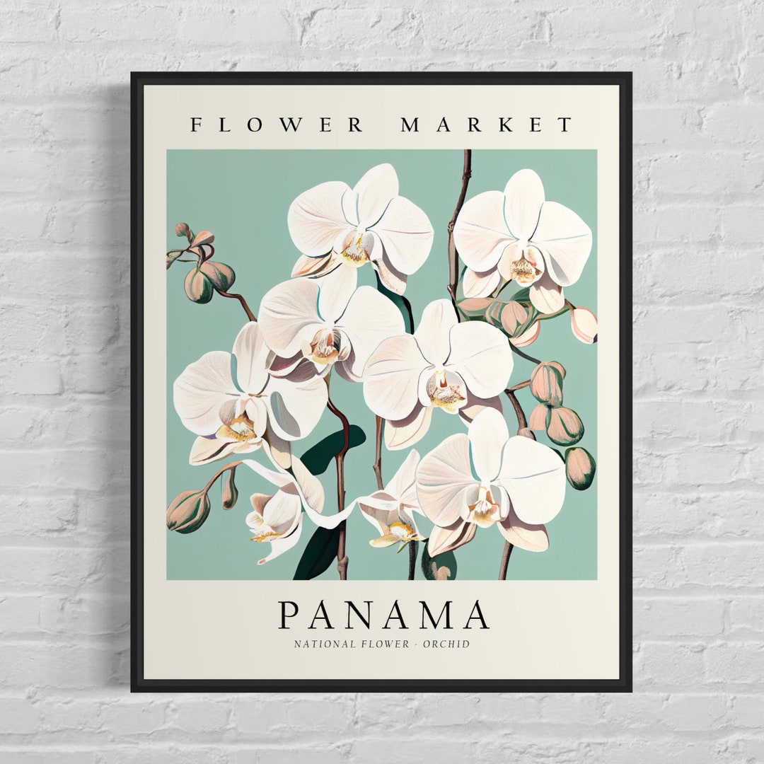 Panama Flower Market Art Print, Panama Flower, Orchid Wall Art ...