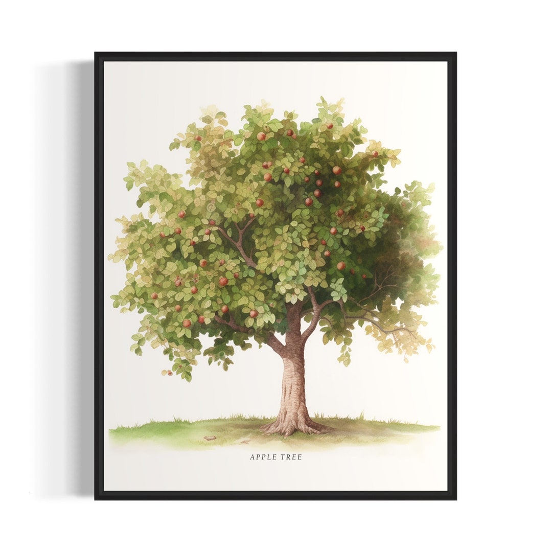 Apple Tree Art Print, Apple Tree Wall Art Poster - Etsy