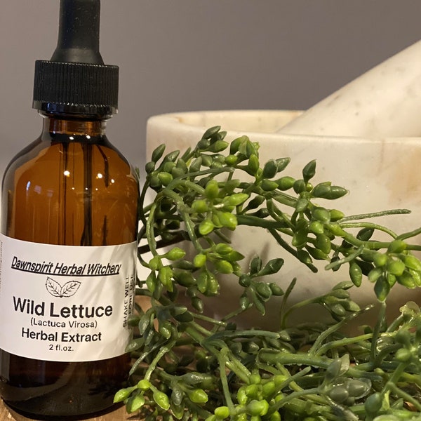 Opium Lettuce - Etsy