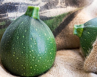 Dark Green Zucchini Seeds Organic & Non Gmo Zucchini Seeds Heirloom ...