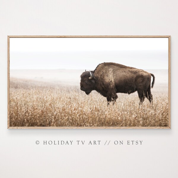 Bison Art - Etsy