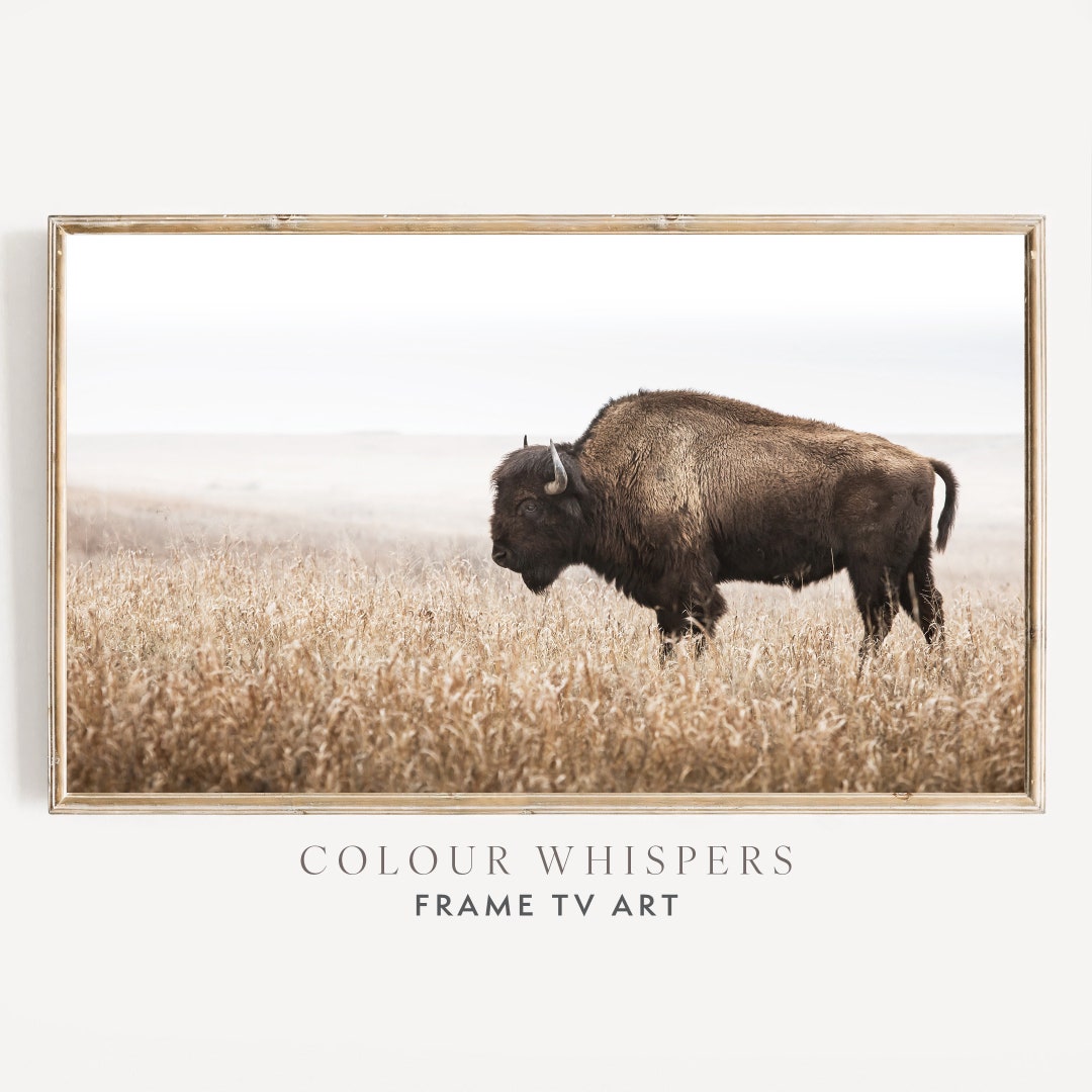 Bison Frame TV Art, Buffalo TV Art, Western Wall Decor, Samsung Frame ...