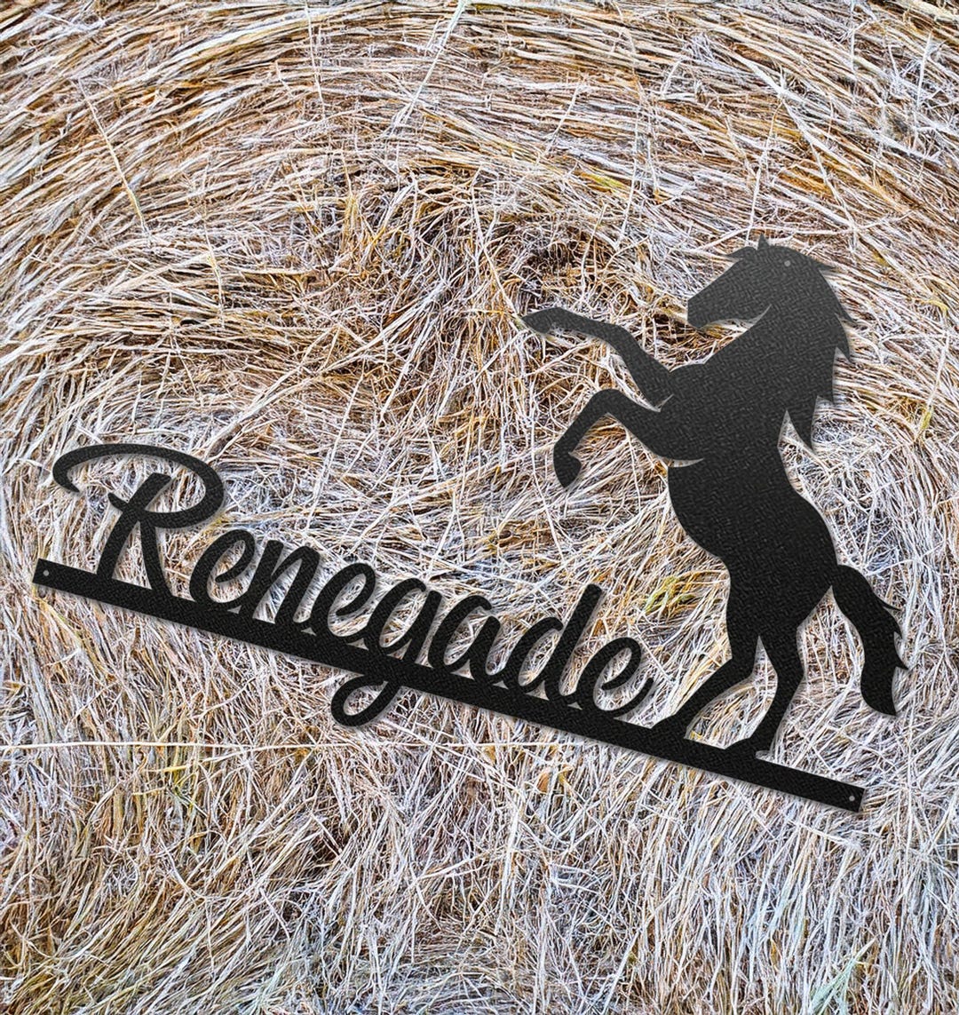 Personalized Horse Stall Sign: Custom Metal Barn Name Plate - Etsy