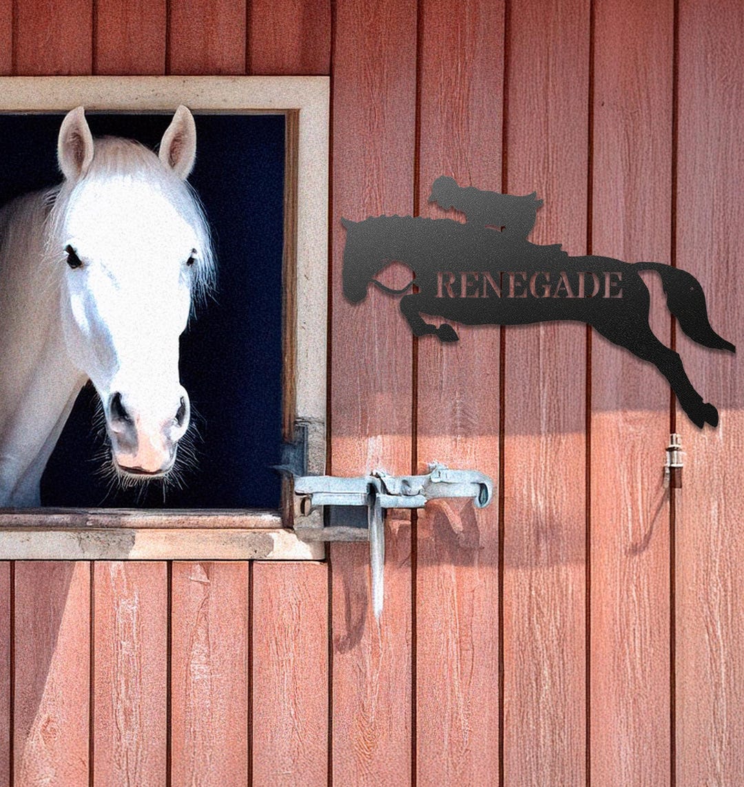 Personalized Metal Horse Name Plate: Custom Barn Sign - Etsy