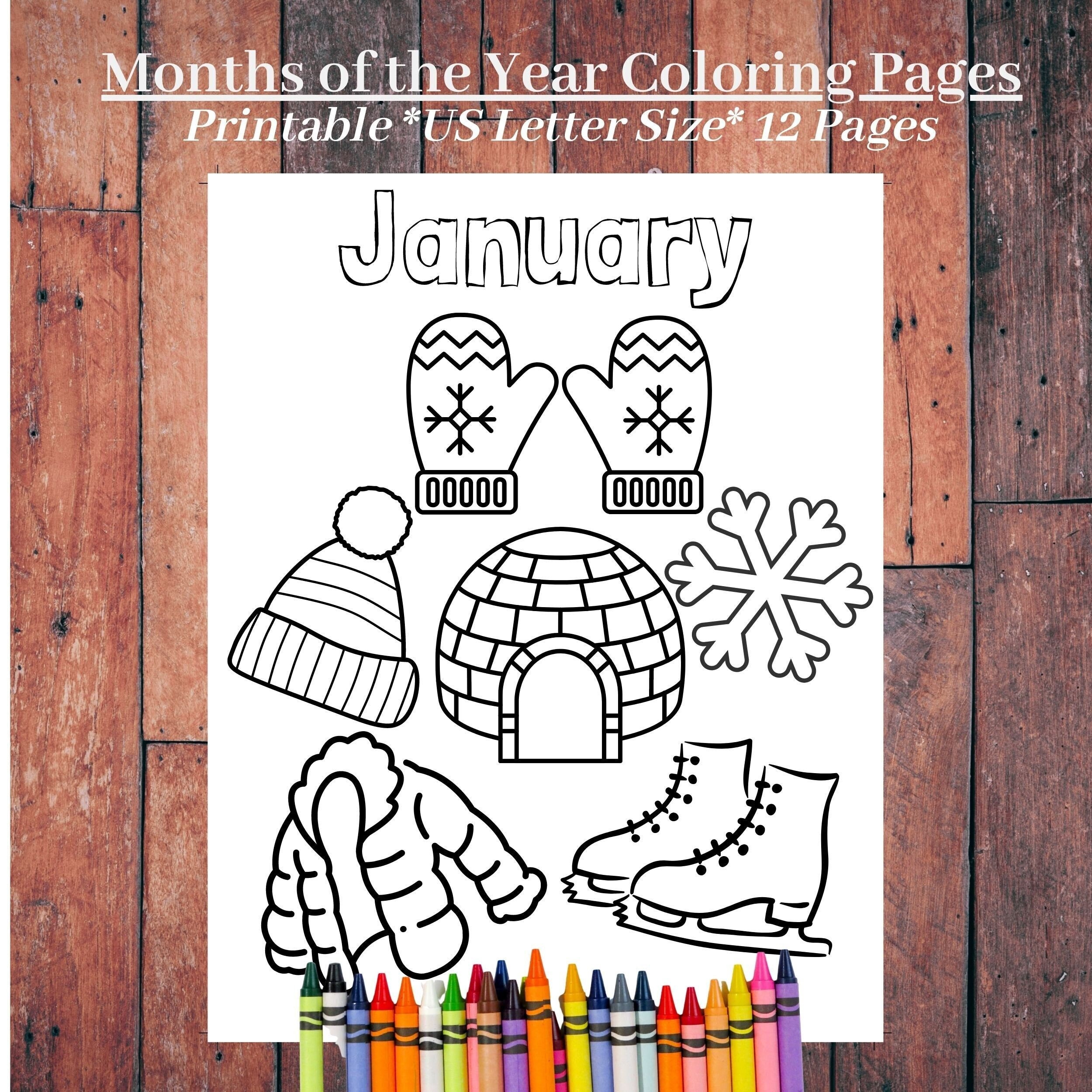 Seasonal Splendor: 12-month Coloring Book Adventure Digital Download ...