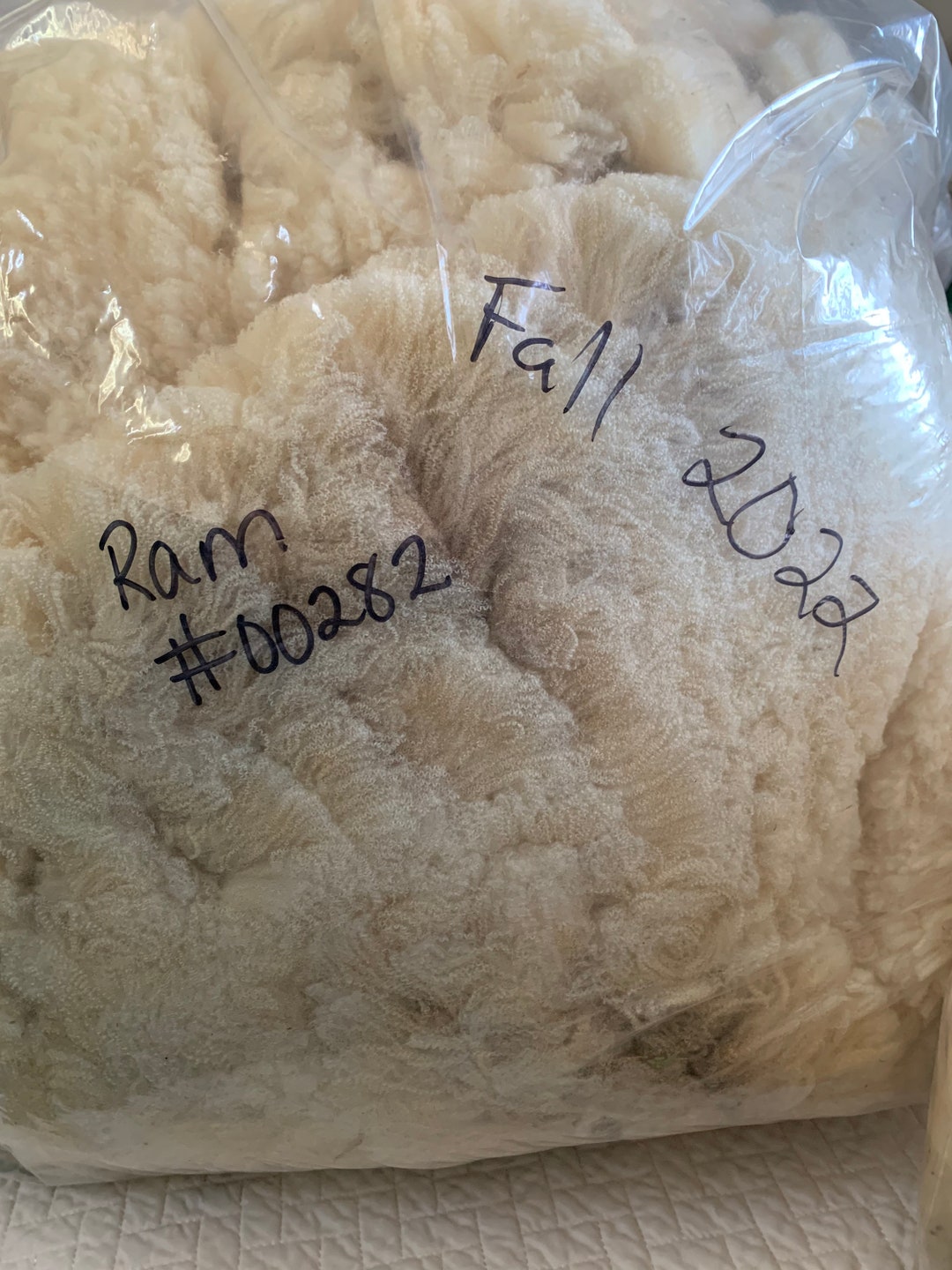 Raw Cormo Ram Wool Fiber unwashed - Etsy