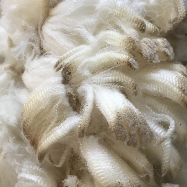Cormo Fleece - Etsy
