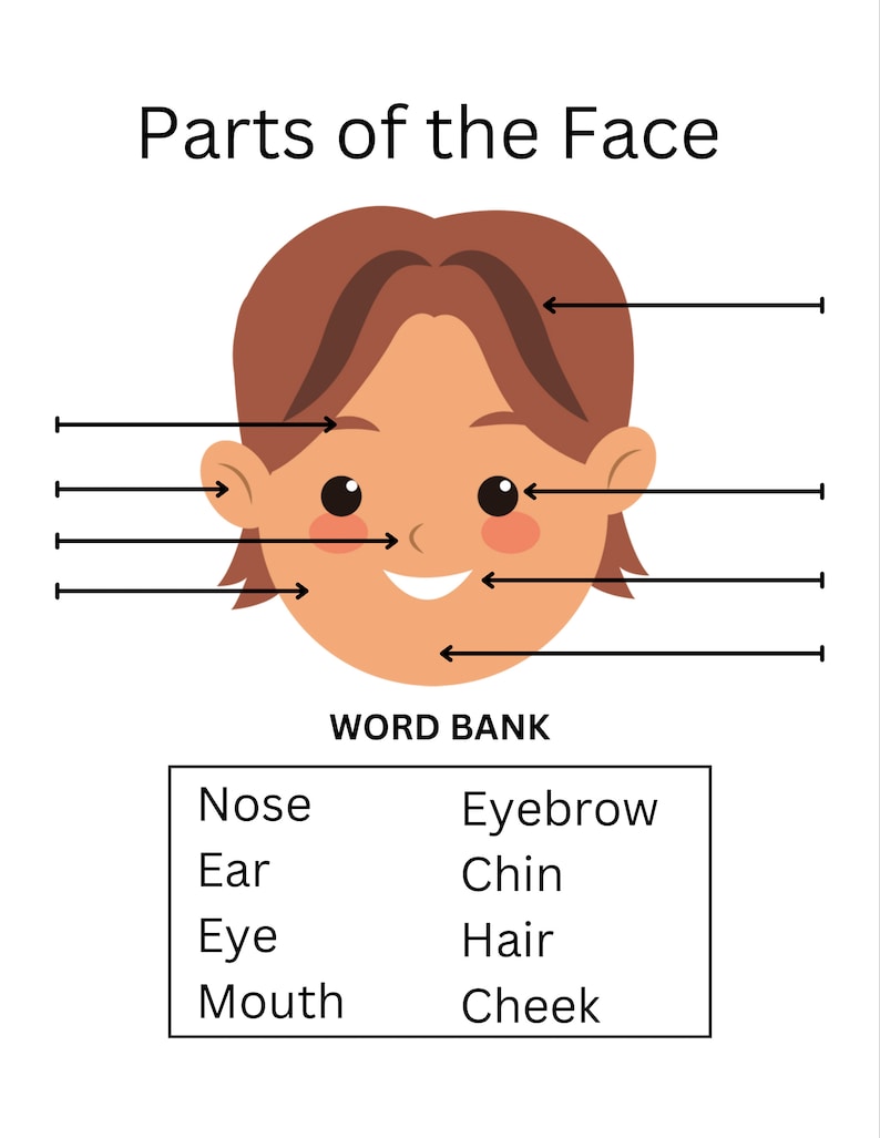Parts of the Face Worksheet Childrens Worksheet Instant Download ...