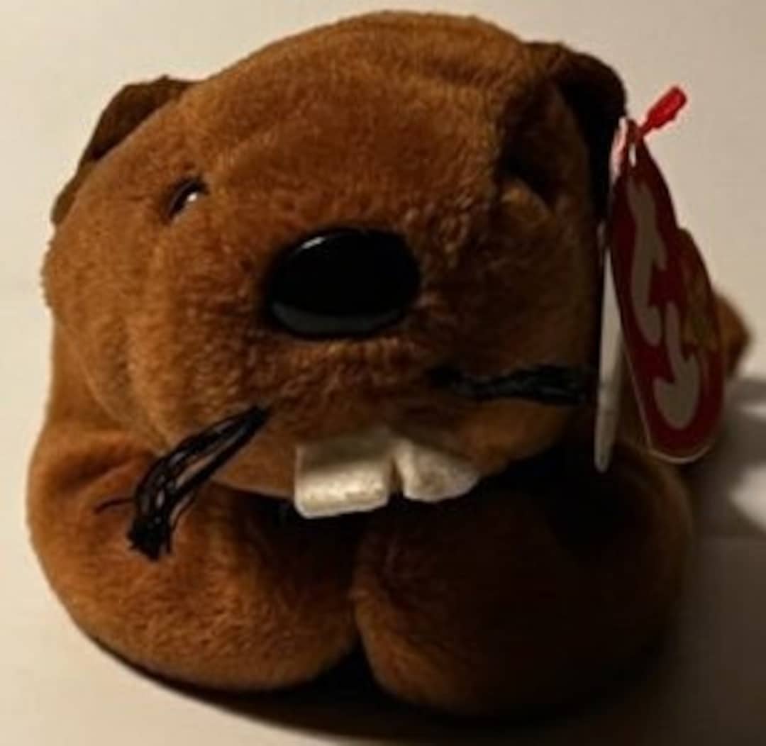 TY, INC. - the Beanie Babies Collection - BUCKY - 1995 - 11" - Etsy