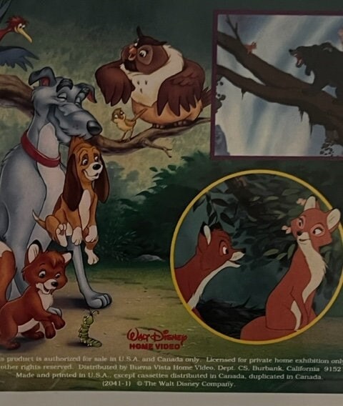 A Walt Disney Classic the Fox and the Hound VHS Movie 2041 Black ...