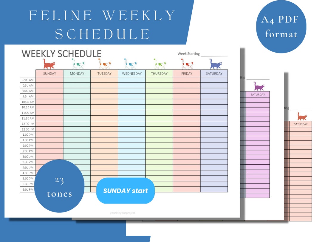 Cute Cat Weekly Schedule Instant Printable Download - Etsy