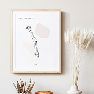 Arm Anatomy, Anatomy Printable, Anatomy Line Art, Medical Art, Clinic ...