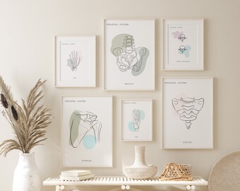 Arm Anatomy, Anatomy Printable, Anatomy Line Art, Medical Art, Clinic ...