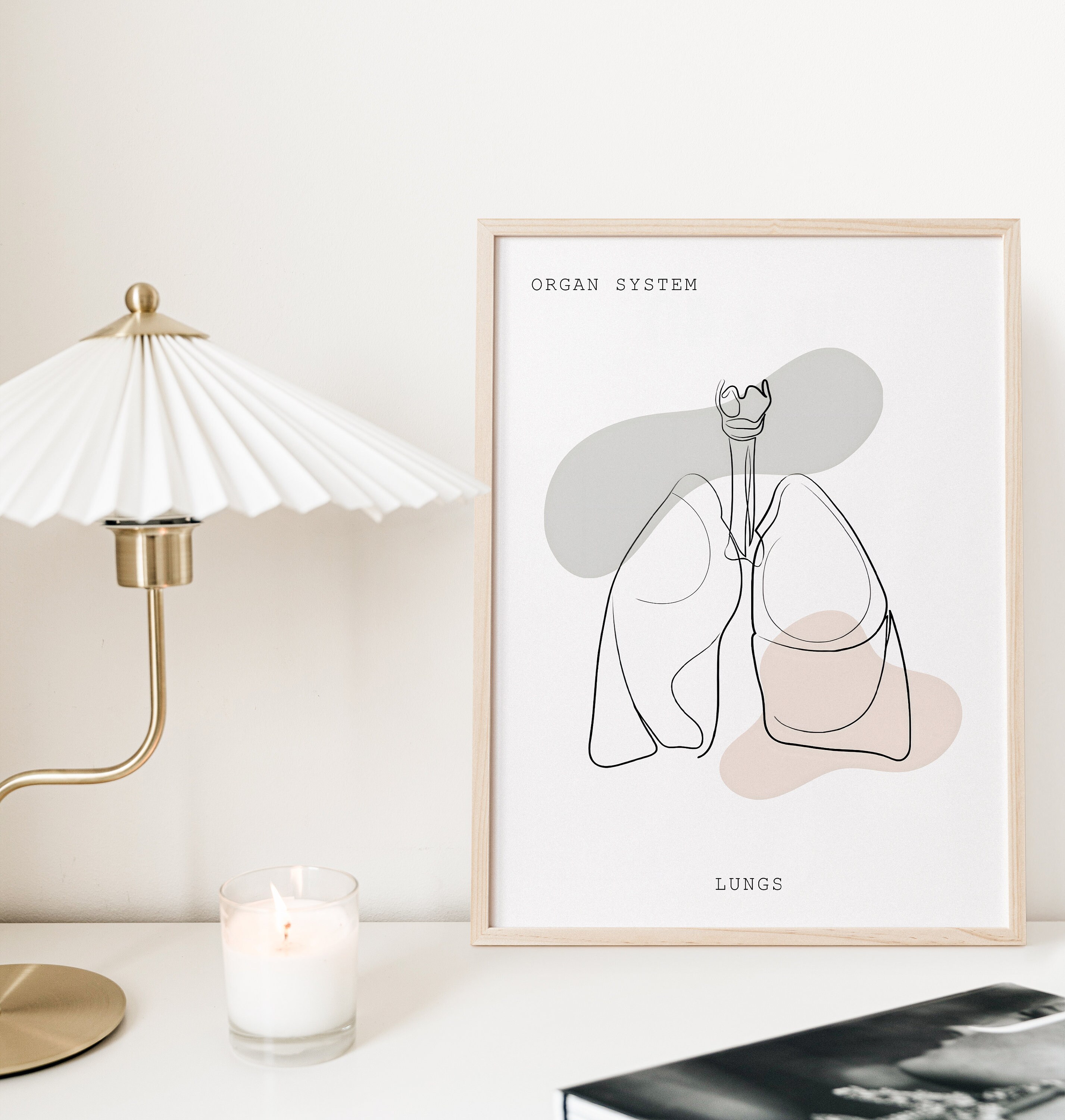Lungs Anatomy, Anatomy Printable, Anatomy Line Art, Medical Art, Clinic ...
