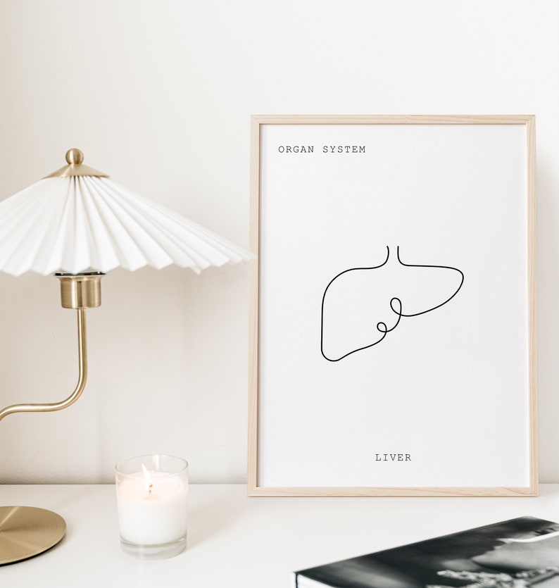 Liver Anatomy, Anatomy, Anatomy Printable, Anatomy Line Art, Medical ...